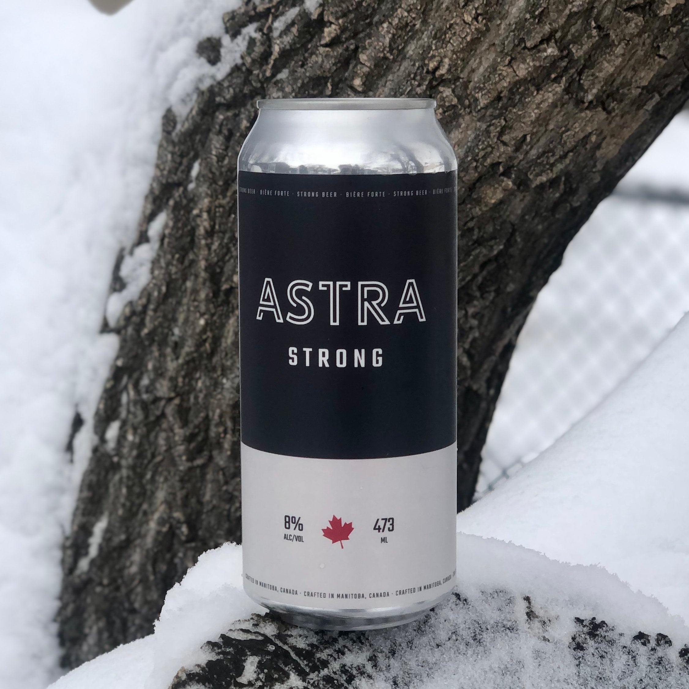 Astra Strong 473 ml can | Oxus Brewing Company
